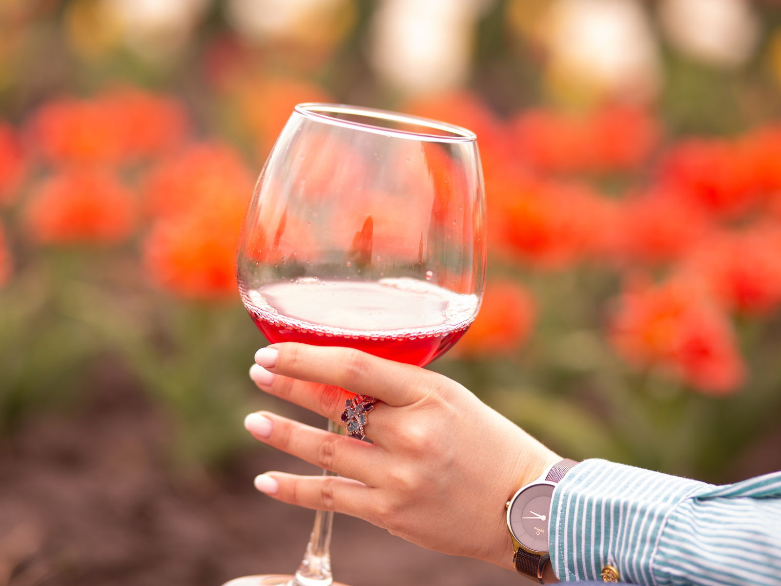 Esperienze esclusive | Palati a Spasso