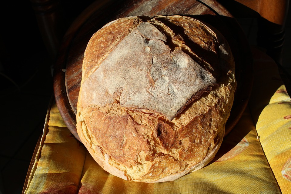 Altamura bread | Walking Palates