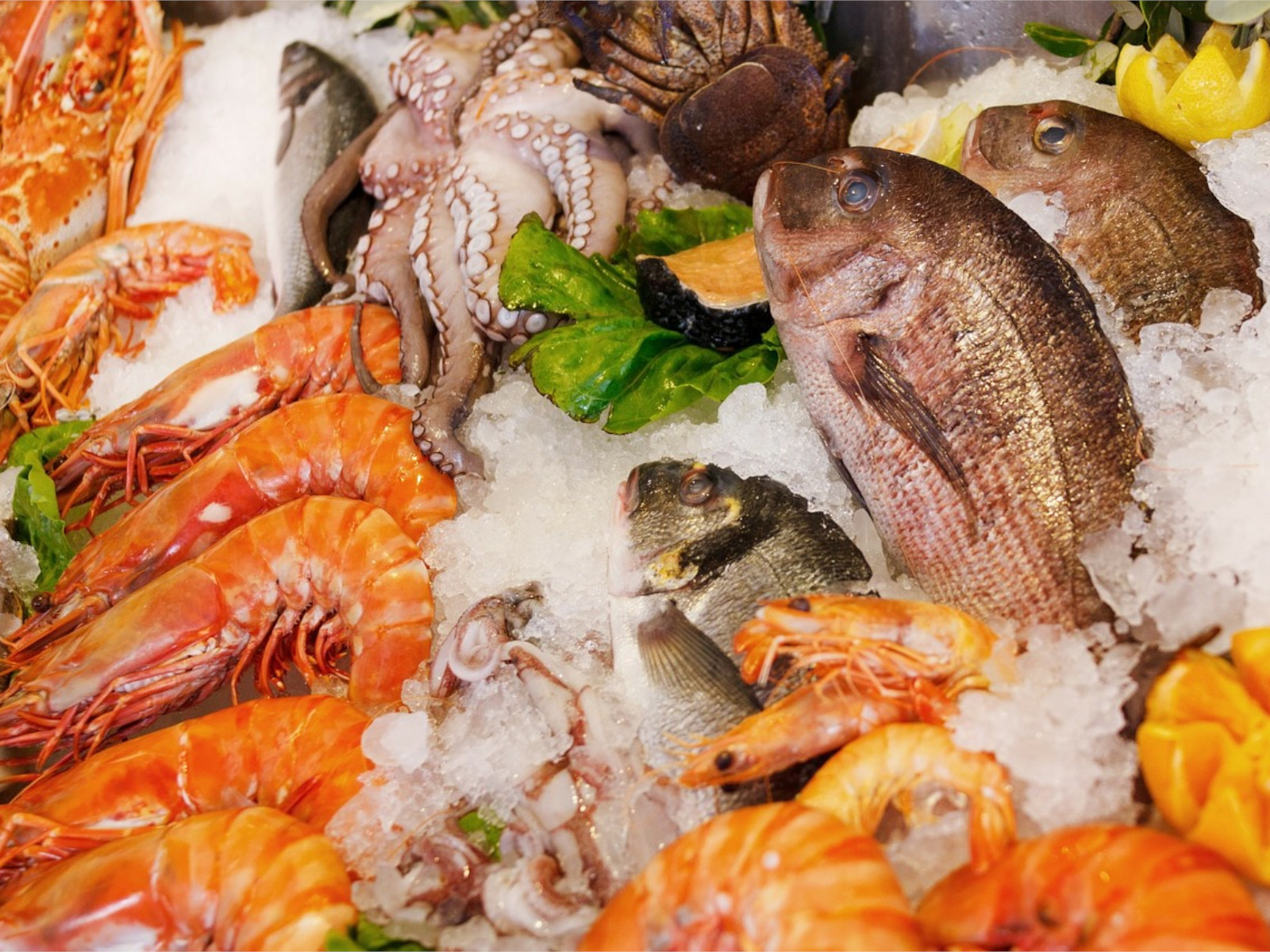 Experiência exclusiva em Ischia | Papilas Viajantes